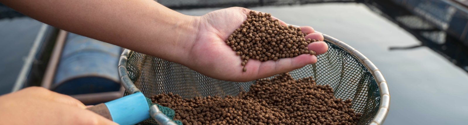 NovoNutrients Raises US$18 million Series A led by Woodside Energy and ...